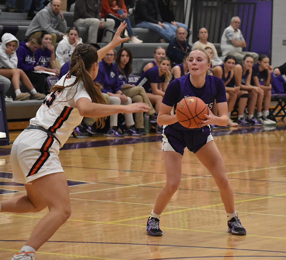 Area roundup: Lewis reaches 1,000 career points as New Ulm tops JCC ...